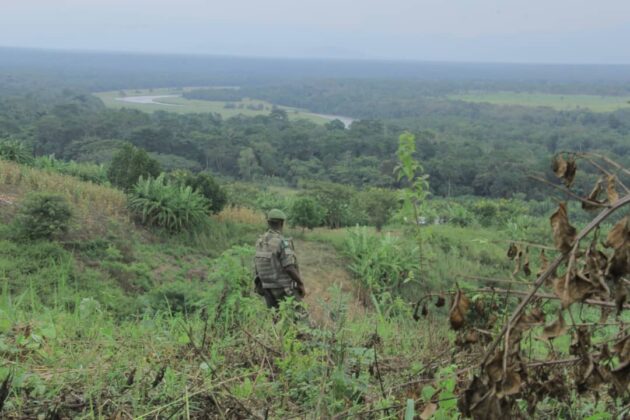 RDC-Grand Kasaï : le Président Tshisekedi annonce près de 4 000 km de ...